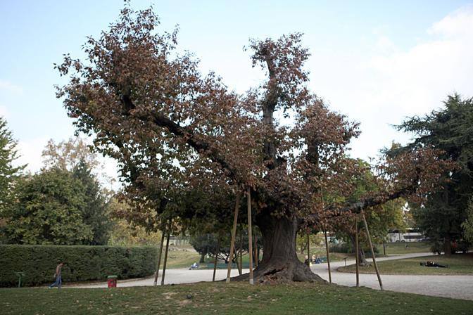 Chi ha pane… | Cronachepedagogiche